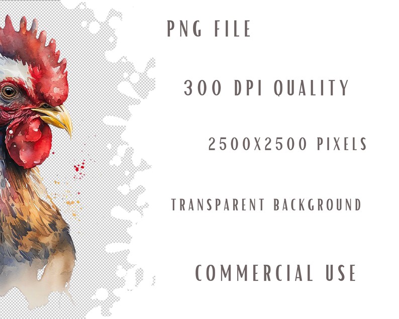 Chicken Png Files Watercolor Chicken Clipart Watercolor - Etsy