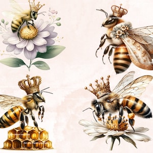 Queen Bee Clipart Bundle, Bee Png Files, Spring Clipart, Honeybee ...