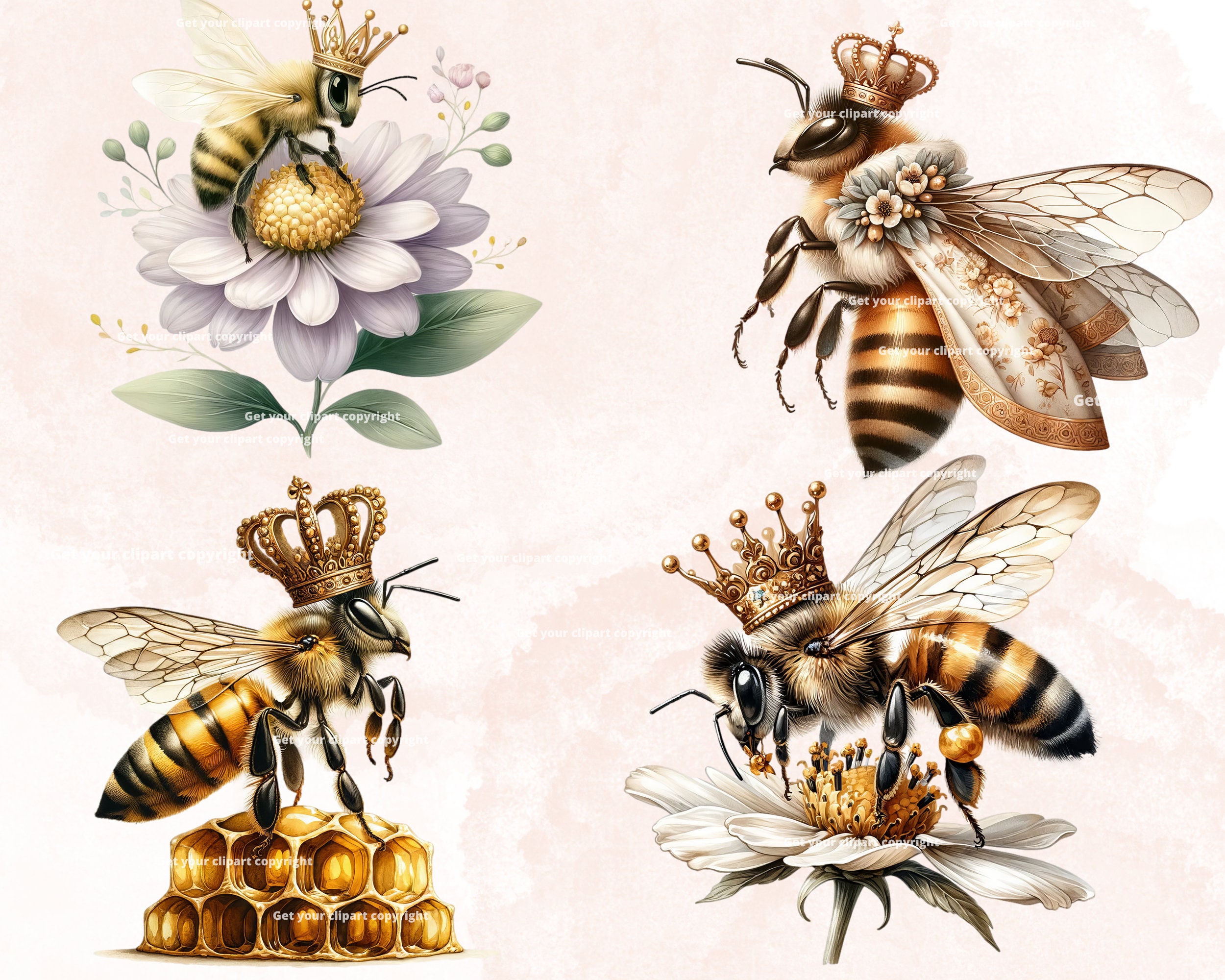 Queen Bee Clipart Bundle, Bee Png Files, Spring Clipart, Honeybee ...