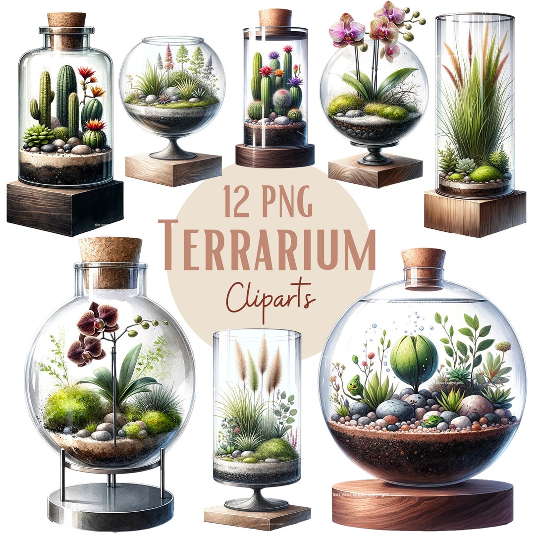 Watercolor Clipart Terrarium, Botanical Clipart, With Transparent ...