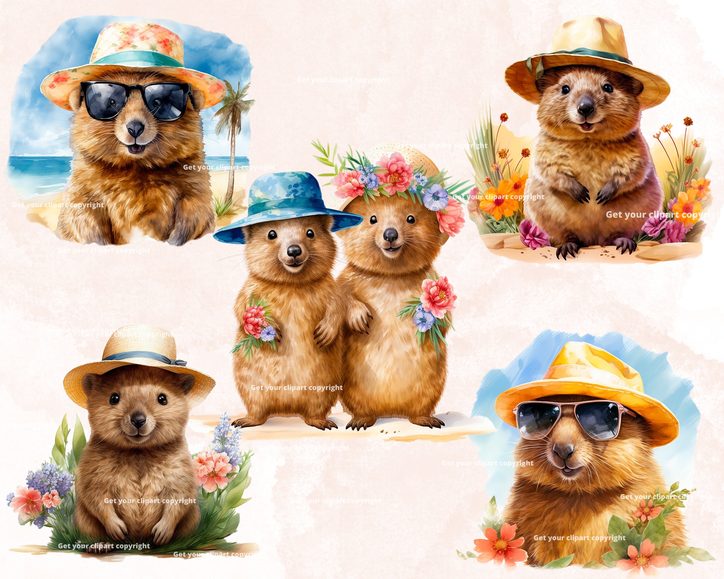 Quokka Clipart Bundle, Australia Clipart, High Quality Png Files, Set ...