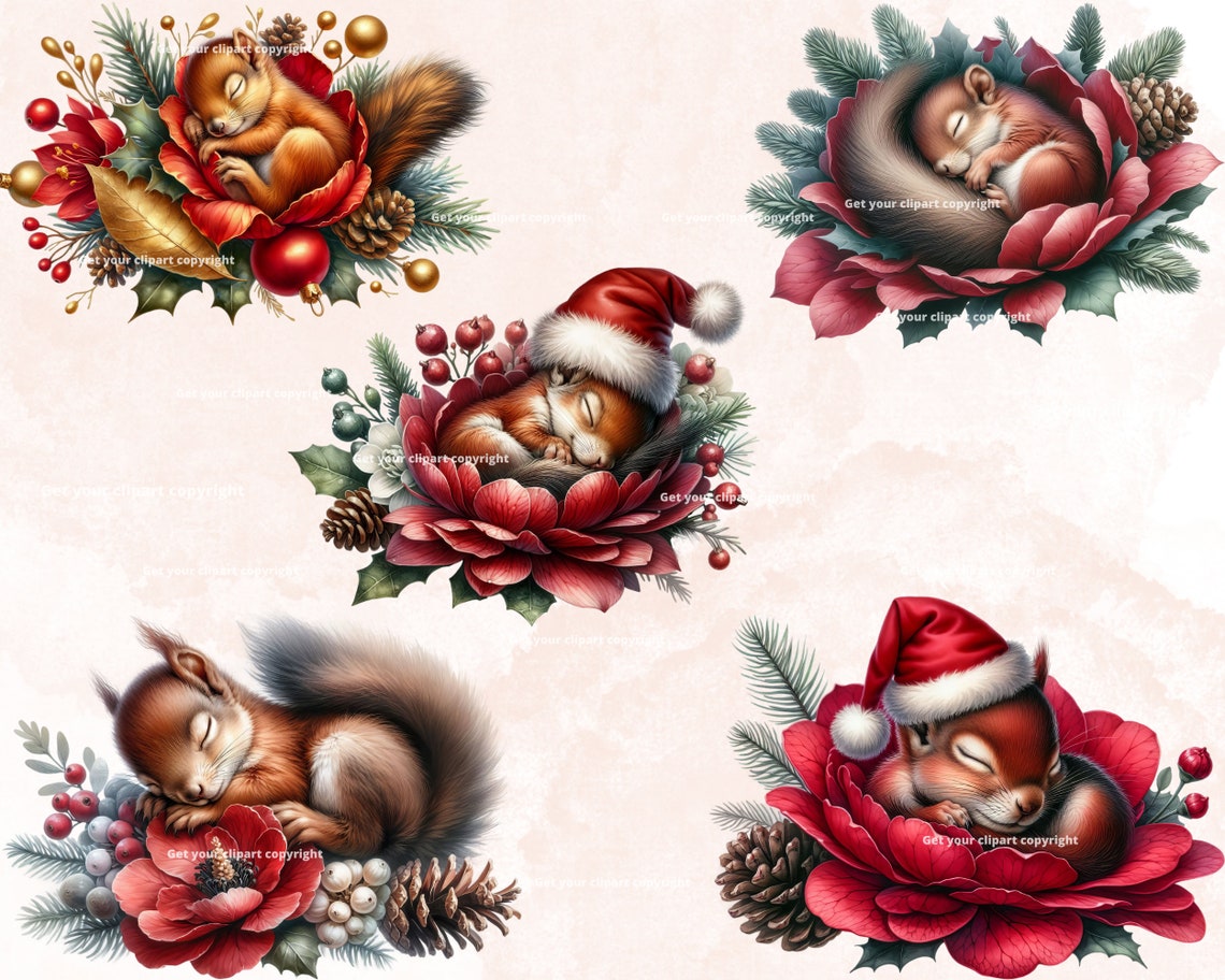 Christmas Squirrel Clipart Bundle, Christmas Clipart, Winter Png ...
