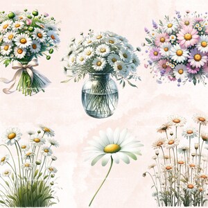 Daisy Flower Clipart Bundle, Watercolor Flowers Clipart, Spring Png ...