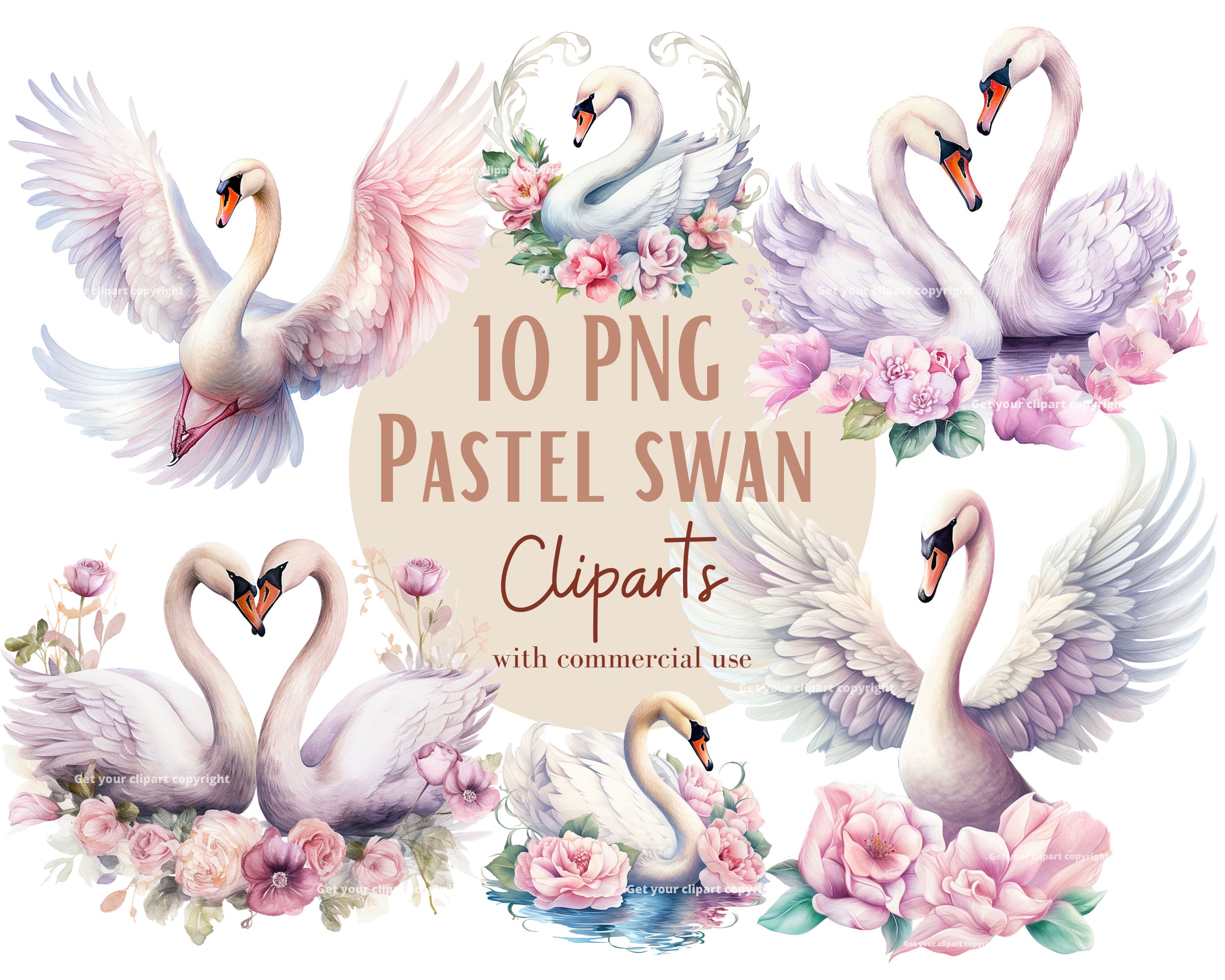 Swan Graphics Bundle Bird Clipart Set of 10 Transparent - Etsy