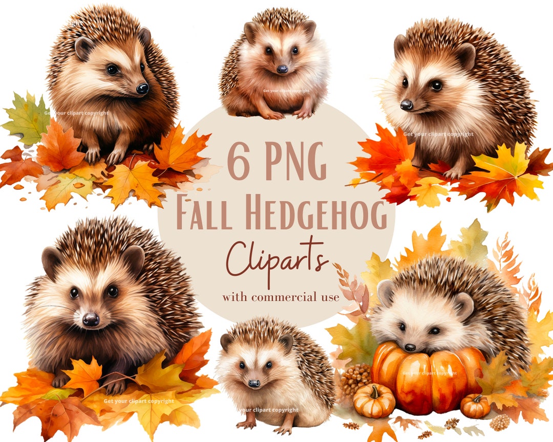 Hedgehog Clipart Bundle, Woodland Animal Graphics, Fall Vibes Png ...