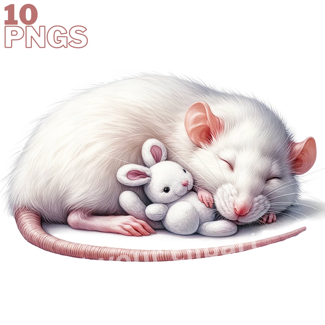 Sleepy Cute Rat Clipart Bundle, Rat Clipart Bundle, Set of 10 ...