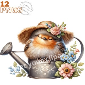 Cute Summer Bird Clipart Bundle, Watercolor Birds, Watercolor Summer ...