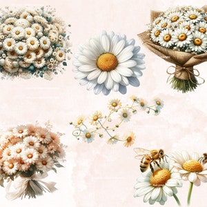 Daisy Flower Clipart Bundle, Watercolor Flowers Clipart, Spring Png ...