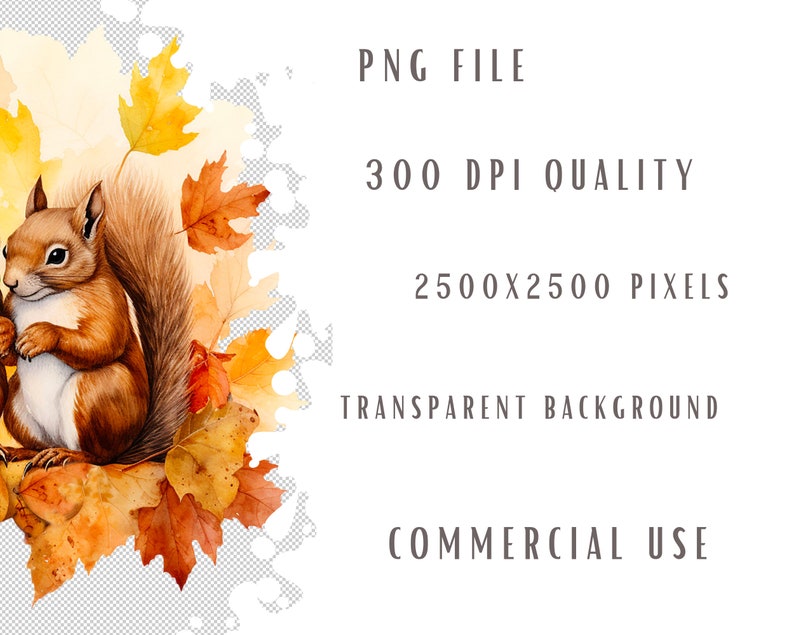 Cute Squirrel Png Graphics, Squirrel Clipart Bundle, Woodland Animal ...
