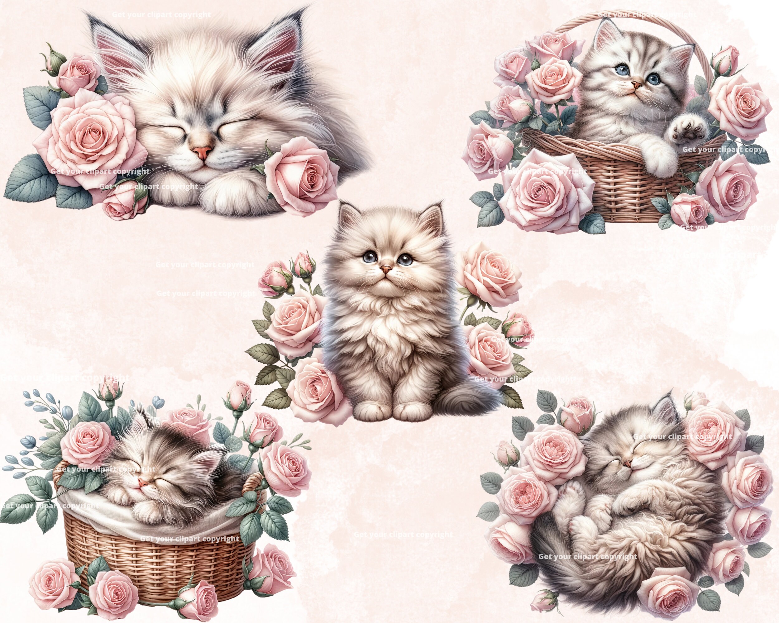 Kitty and Light Pink Roses Clipart Bundle, Kitten Clipart, Cute Cat ...