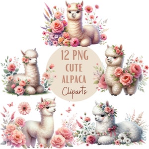 Cute Alpaca Clipart Bundle, Alpaca Png, Watercolor Alpaca Graphics ...