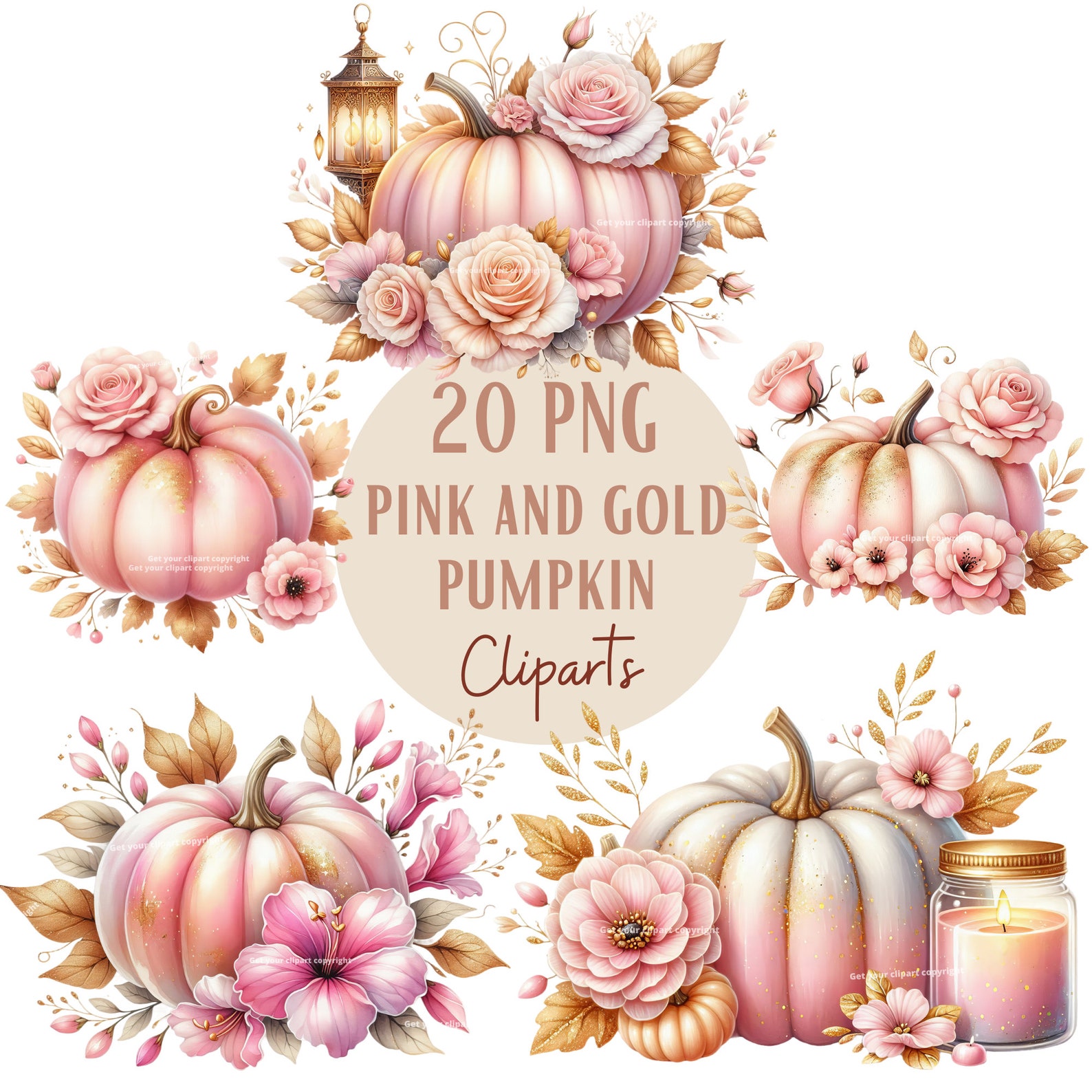Pink Pumpkin Clipart Bundle, Floral Pumpkin Graphics, Thanksgiving ...