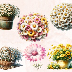 Daisy Flower Clipart Bundle, Watercolor Flowers Clipart, Spring Png ...