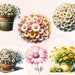 Daisy Flower Clipart Bundle, Watercolor Flowers Clipart, Spring Png ...