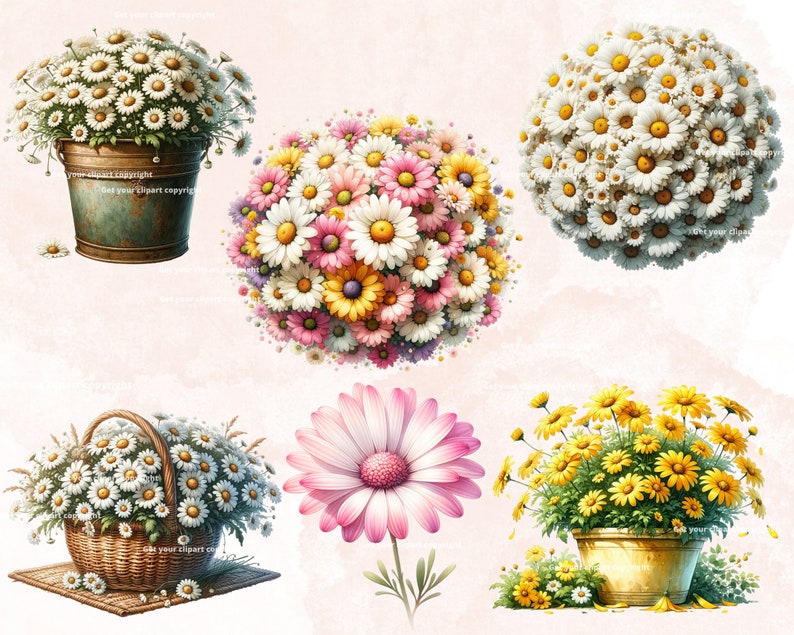 Daisy Flower Clipart Bundle, Watercolor Flowers Clipart, Spring Png ...