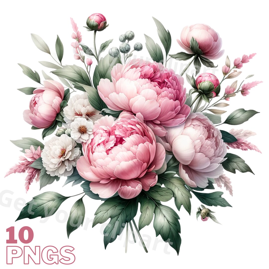 Pink Peonies Clipart Bundle, Watercolor Flowers Clipart, Valentines Png ...