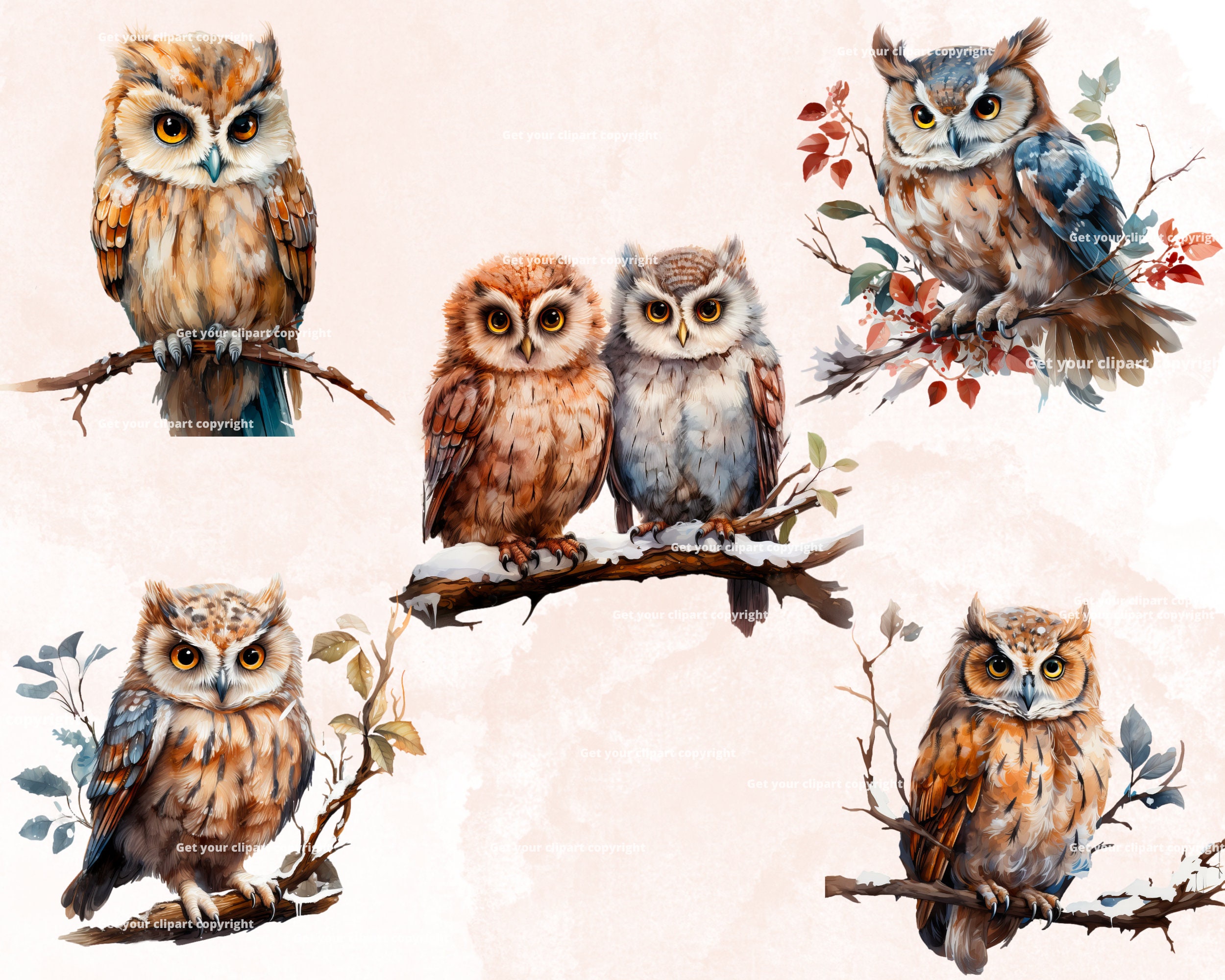 Owl Png Clipart Bundle Woodland Animal Graphics Fall Vibes - Etsy