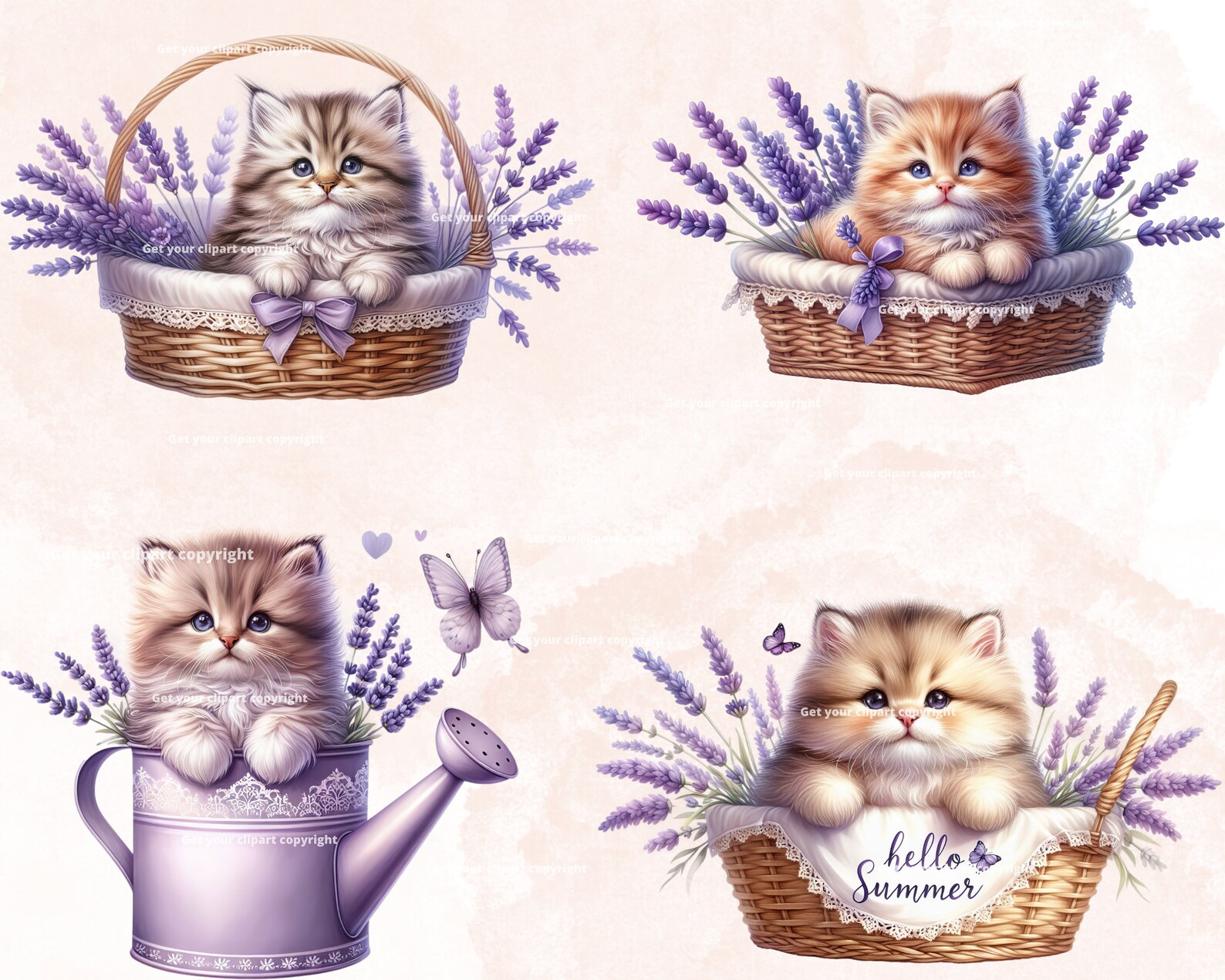 Kitten and Lavender Clipart Bundle, Kitten Clipart, Cute Cat Graphics ...