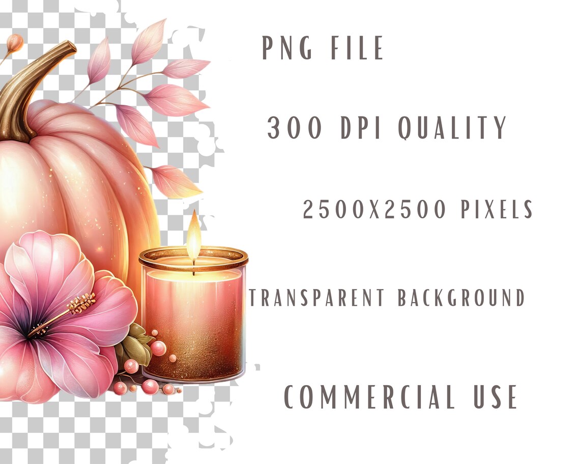 Pink Pumpkin Clipart Bundle, Floral Pumpkin Graphics, Thanksgiving ...