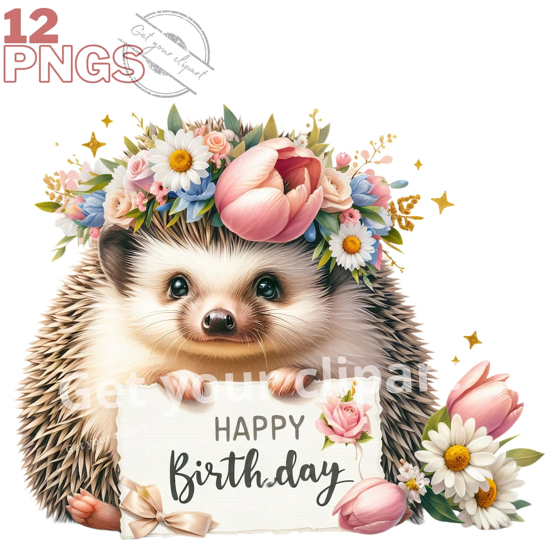 Happy Birthday Hedgehog Clipart Bundle, Happy Birthday Graphics, Happy ...
