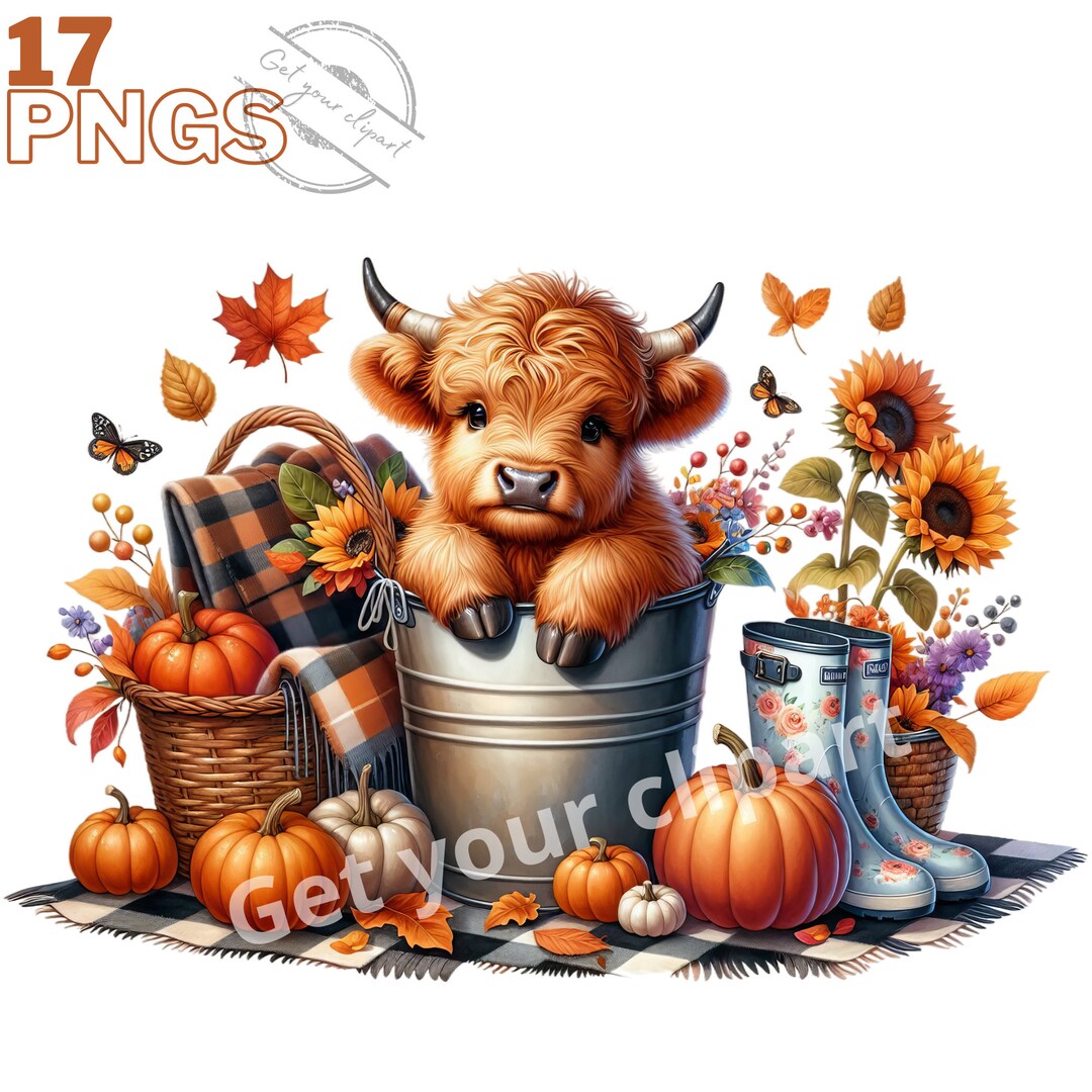 Baby Highland Cow Clipart Bundle, Highland Cow Clipart, Highland Cow ...
