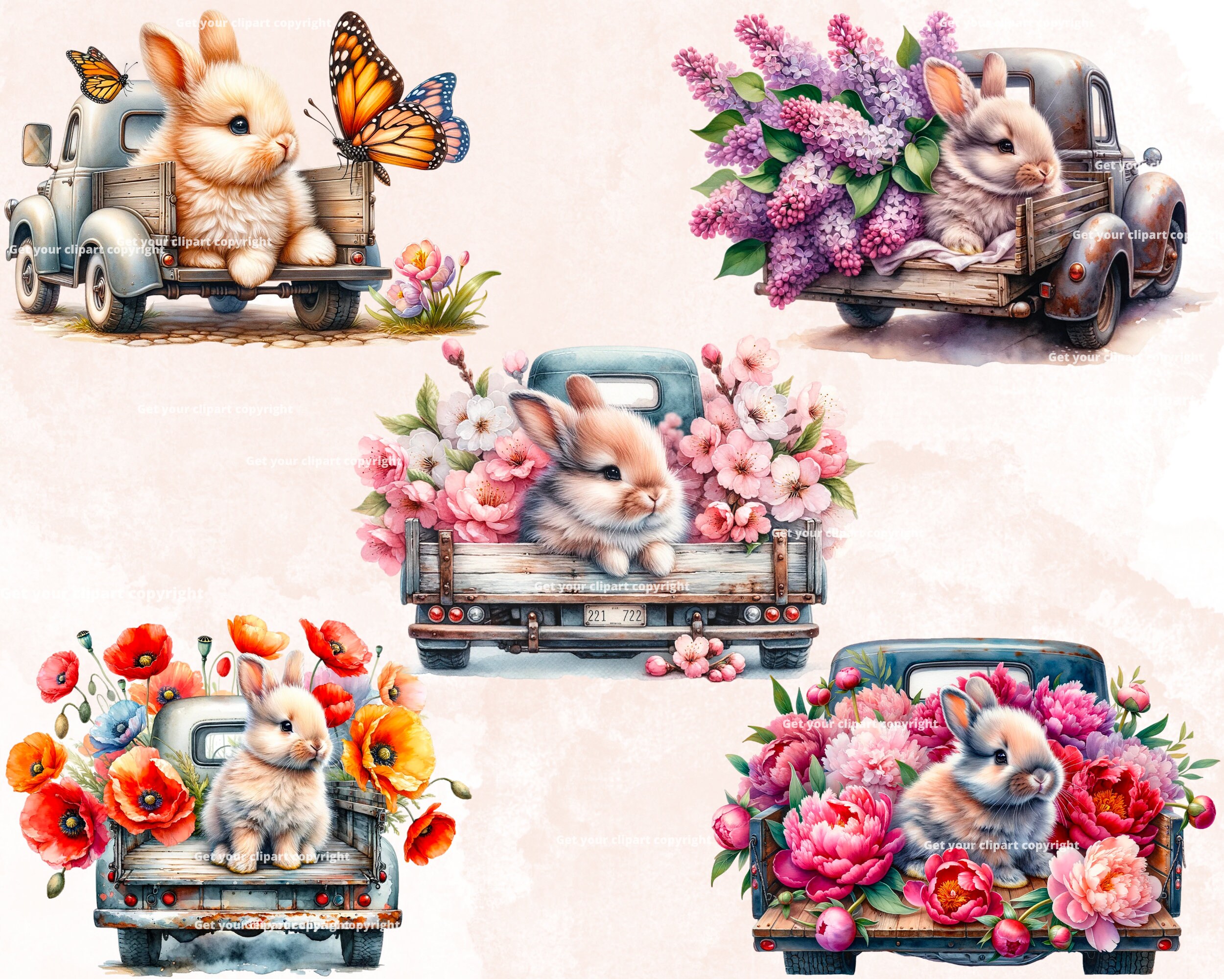 Spring Bunny Clipart Bundle, Spring Clipart, Cute Bunny Graphics ...