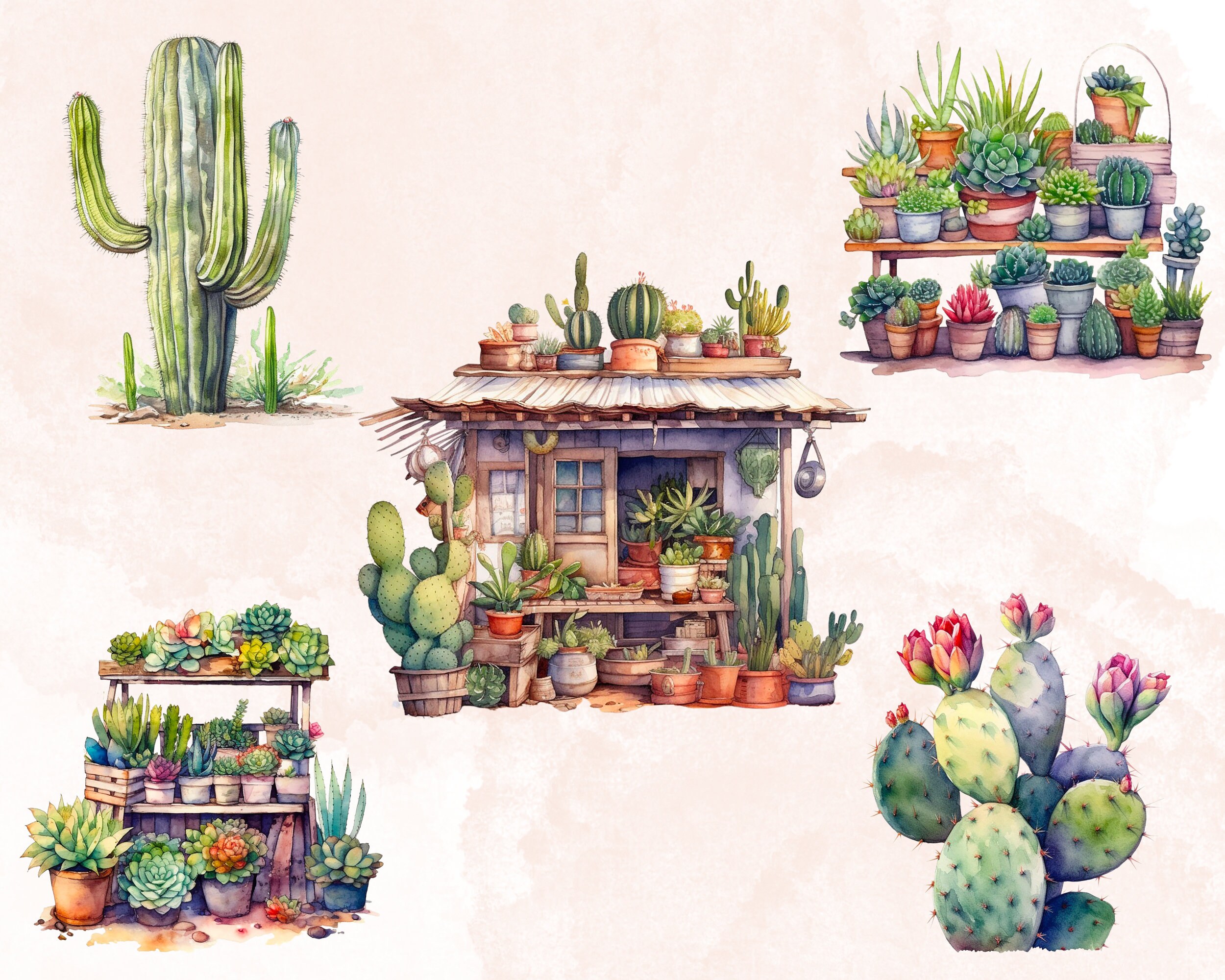 Cactus Clipart Succulent Png Designs Trending Png Designs - Etsy