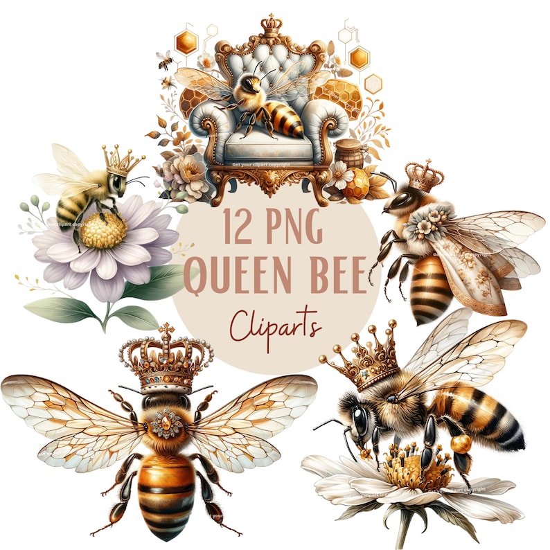 Queen Bee Clipart Bundle, Bee Png Files, Spring Clipart, Honeybee ...