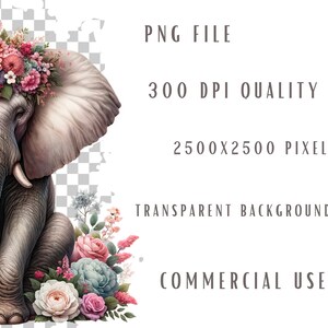 Elephant and Flowers Cliparts Bundle, Safari Animal Png Files, Jungle ...
