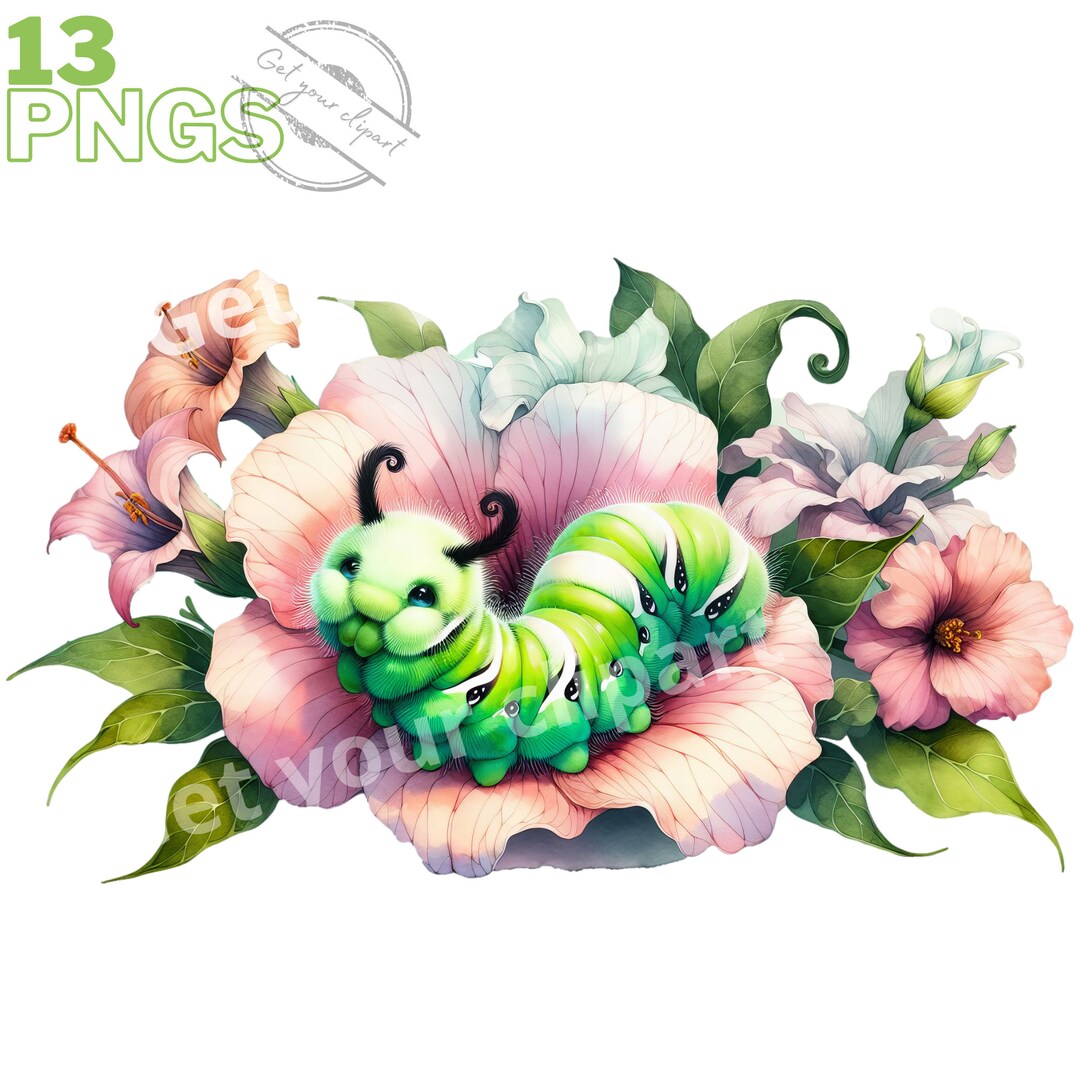 Cute Caterpillar Clipart Bundle, Caterpillar Png Files, Spring Clipart ...