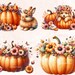 Fall Floral Pumpkin Clipart Bundle, Floral Pumpkin Png, Hello Fall ...