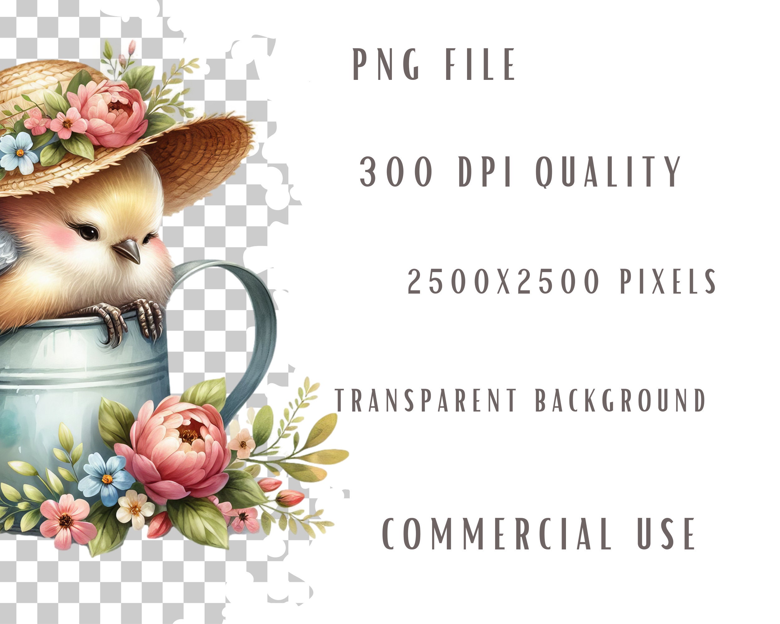 Cute Summer Bird Clipart Bundle, Watercolor Birds, Watercolor Summer ...