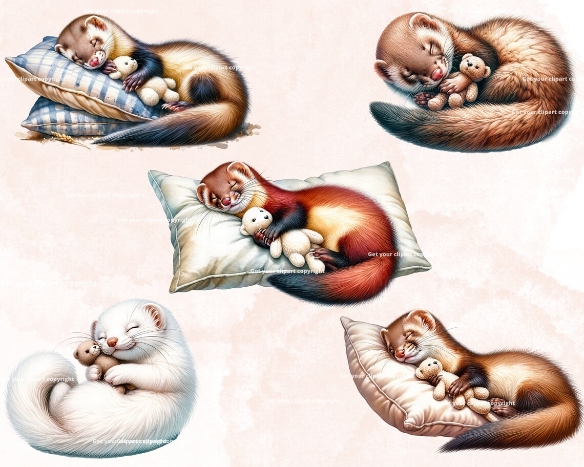 Sleepy Cute Weasel Clipart Bundle, Weasel Clipart Bundle, Set of 10 ...