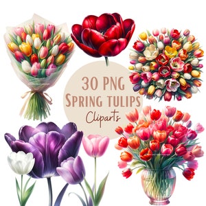 Spring Tulips Clipart Bundle, Watercolor Flowers Clipart, Spring Png ...