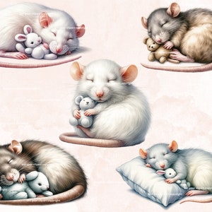 Sleepy Cute Rat Clipart Bundle, Rat Clipart Bundle, Set of 10 ...
