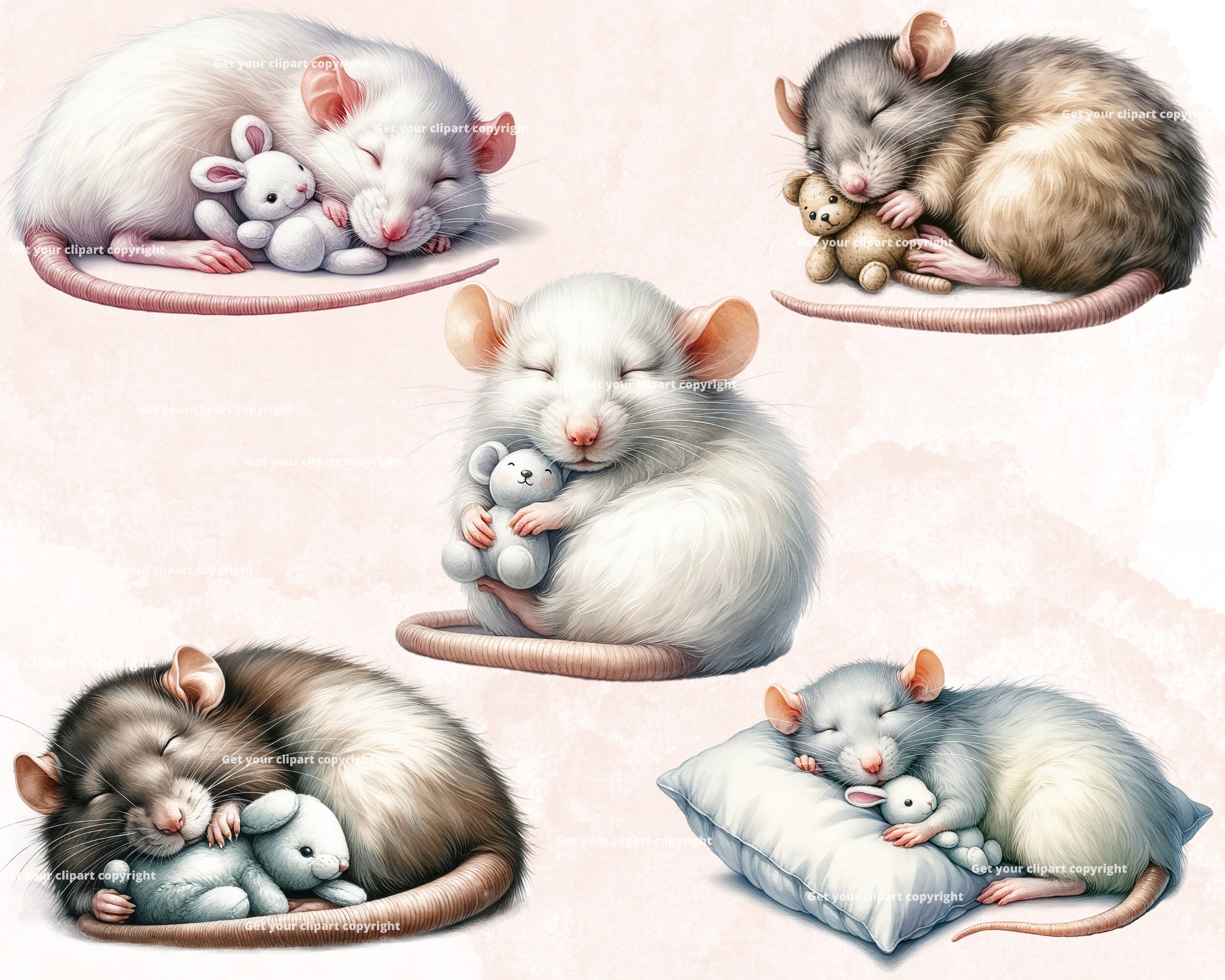 Sleepy Cute Rat Clipart Bundle, Rat Clipart Bundle, Set of 10 ...