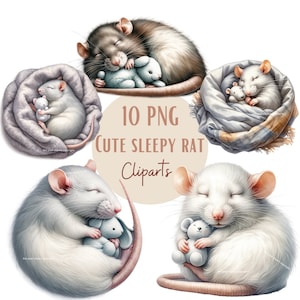 Sleepy Cute Rat Clipart Bundle, Rat Clipart Bundle, Set of 10 ...