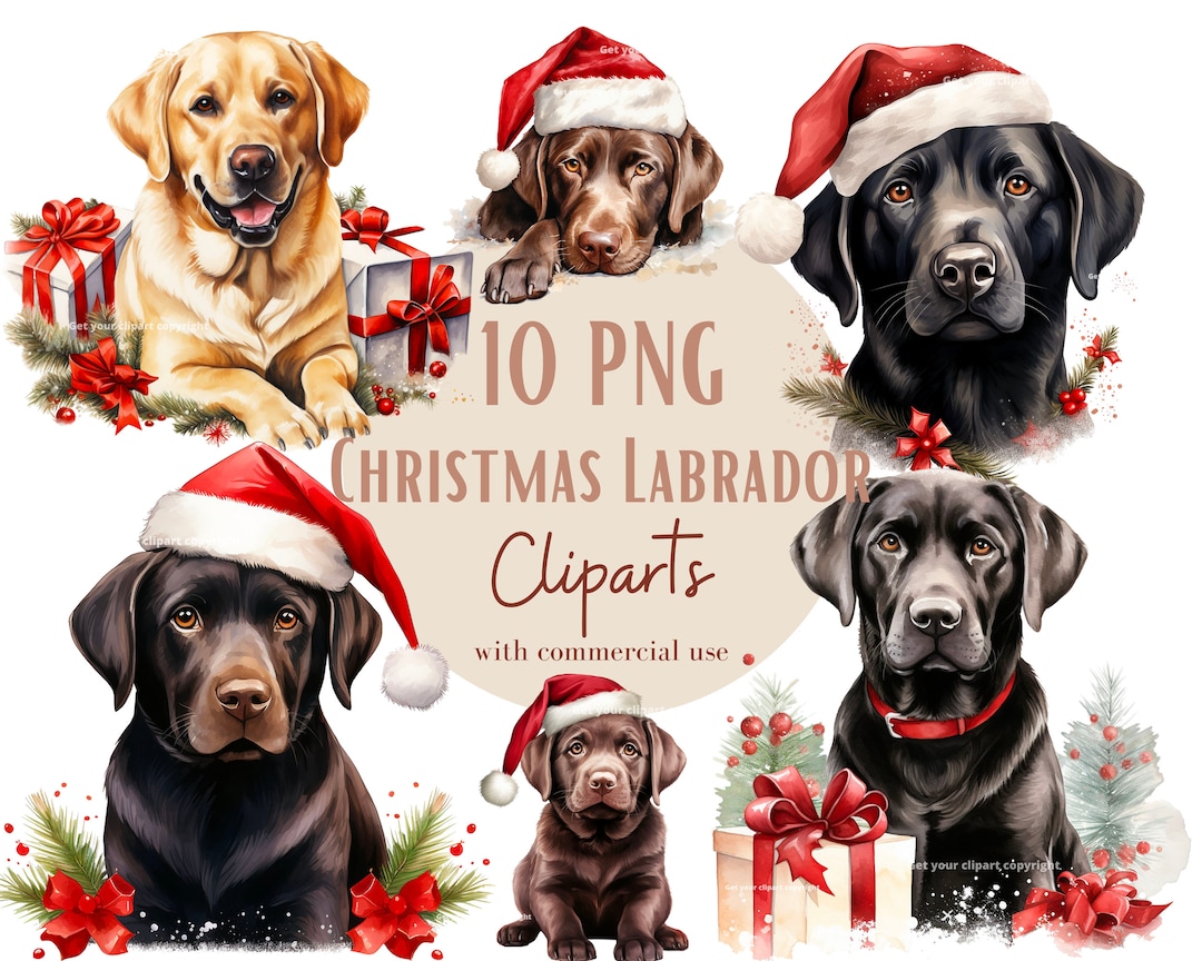 Labrador Christmas Png Graphics, Watercolor Dog Clipart, Set of 10 ...