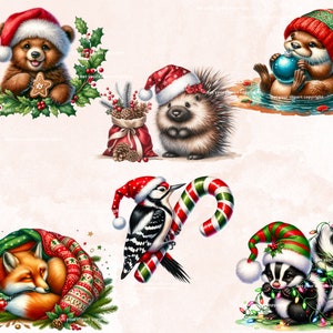 Christmas Woodland Animals Clipart Bundle, Woodland Graphics, Animals ...