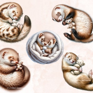 Sleepy Cute Weasel Clipart Bundle, Weasel Clipart Bundle, Set of 10 ...