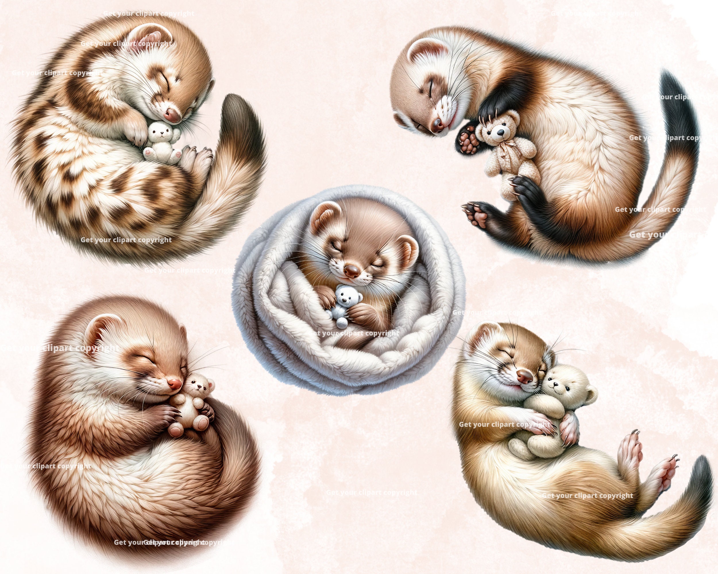 Sleepy Cute Weasel Clipart Bundle, Weasel Clipart Bundle, Set of 10 ...