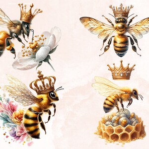 Queen Bee Clipart Bundle, Bee Png Files, Spring Clipart, Honeybee ...