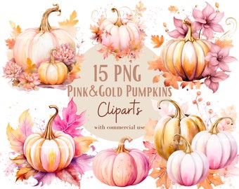 12 Pink Pumpkin Clipart Bundle, Floral Pumpkin Graphics, Thanksgiving ...