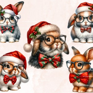 Christmas Bunny Clipart Bundle, Cute Rabbit, Set of 10, Transparent ...