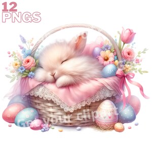 Easter Bunny in a Basket Clipart Bundle, Easter Clipart, Easter ...