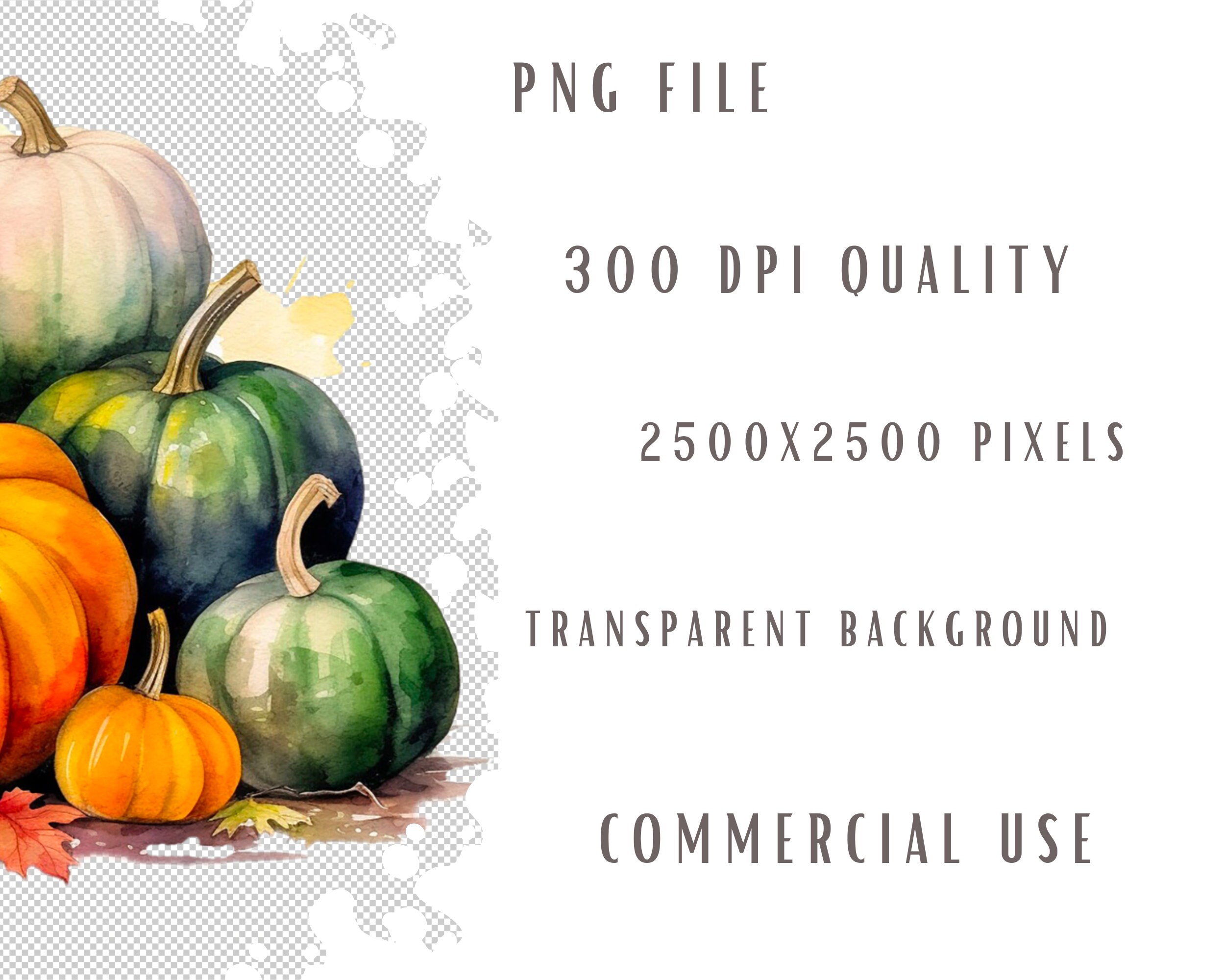 Pumpkin Clipart for Any Creative Project Hello Fall Png Fall - Etsy