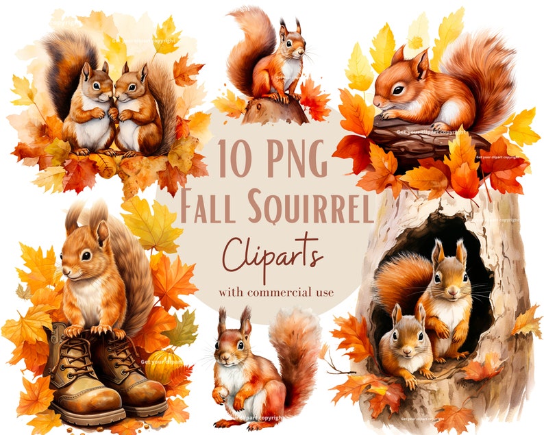 Cute Squirrel Png Graphics, Squirrel Clipart Bundle, Woodland Animal ...