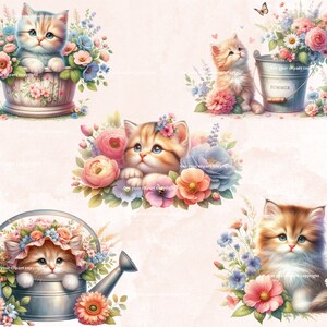 Baby Cat and Flowers Clipart Bundle, Kitten Clipart, Cute Cat Graphics ...