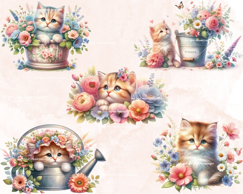 Baby Cat and Flowers Clipart Bundle, Kitten Clipart, Cute Cat Graphics ...