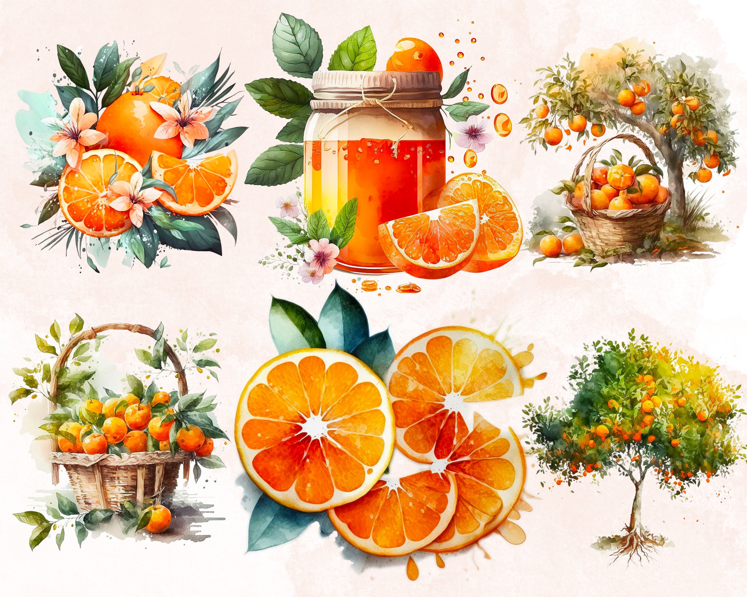 Watercolor Orange Clipart Orange Fruit Bundle Watercolor - Etsy
